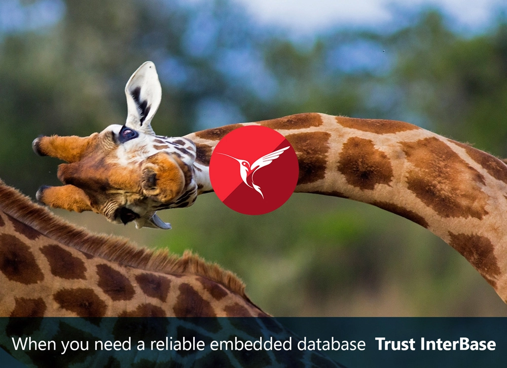 InterBase: Ultra-Fast Embeddable Database - Embarcadero
