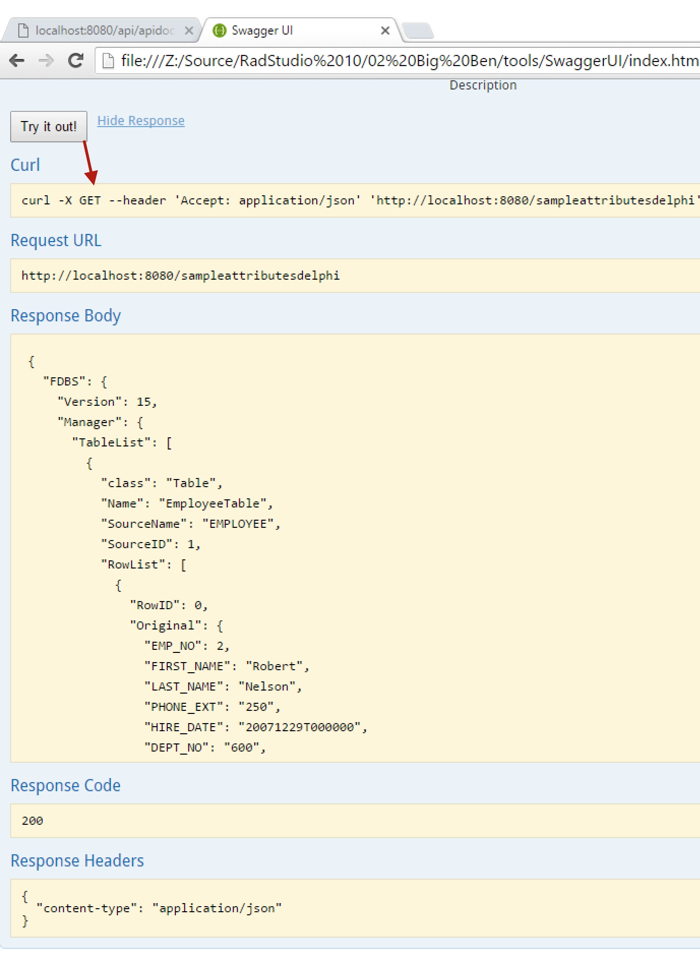 Delphi: Integrating With Other Languages - Embarcadero