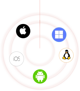 Embarcadero Cross-Platform App Development Software
